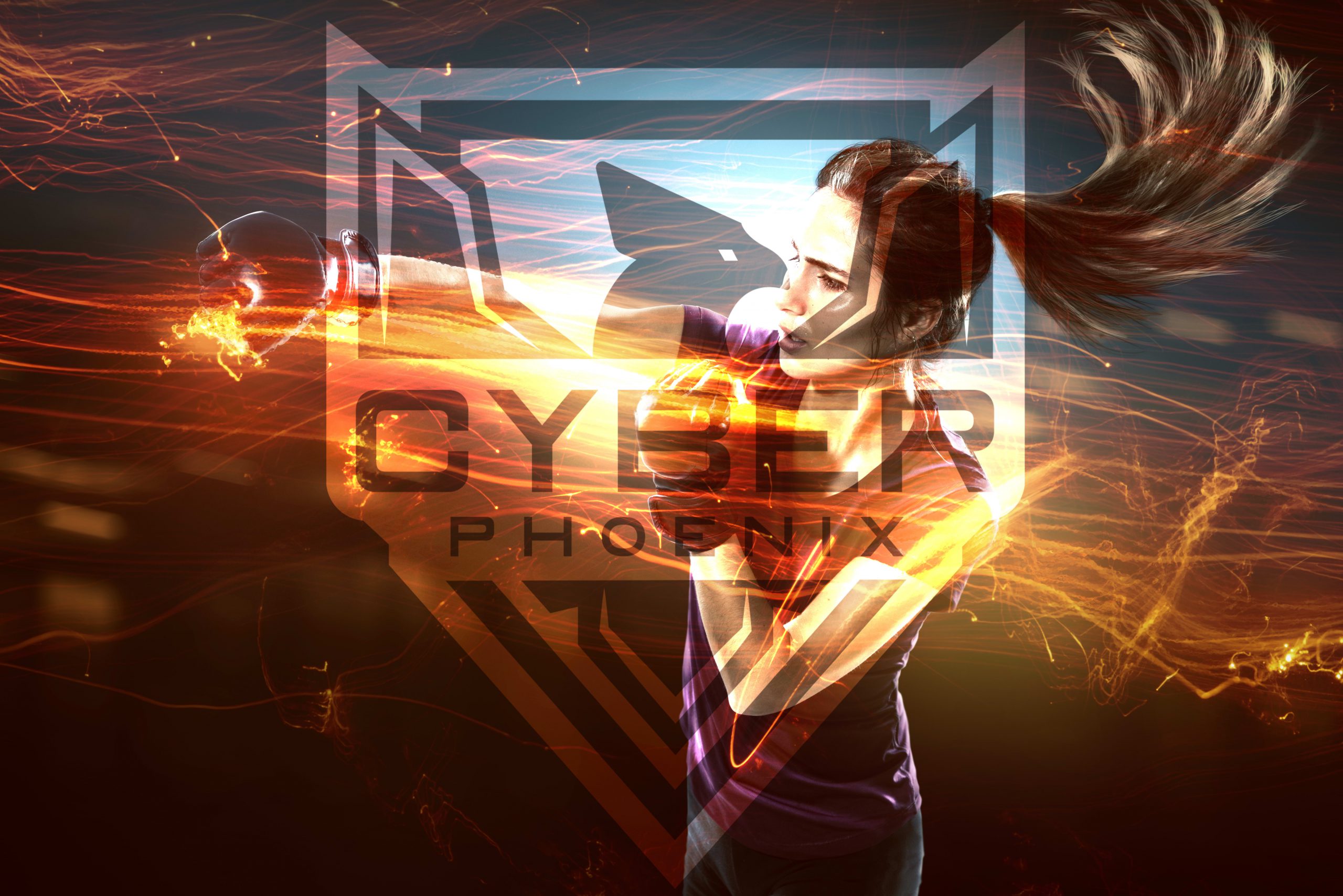 Cyber Phoenix Cybersecurity Training - Phoenix TS